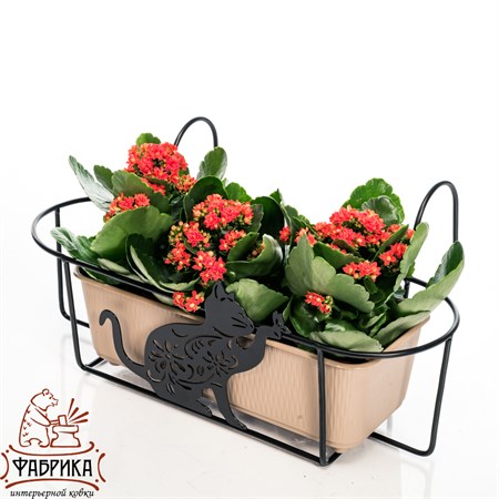 Купить Кронштейн для балконных ящиков 203-009 2 010 руб. Кронштейны для балконных ящиков оптом.